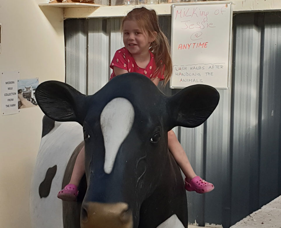 Model life size milking cow - Blackwater Open Farm
